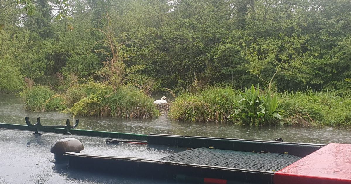 Watford Green Loop (8 miles / 13km - Leisurely, Booking Required) - Ramblers